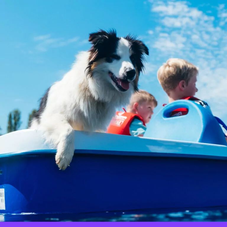 Ways To Stay | Holiday Park Breaks | Billing Aquadrome